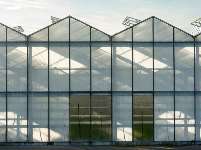 Jasa Pembuatan Greenhouse - TERPERCAYA